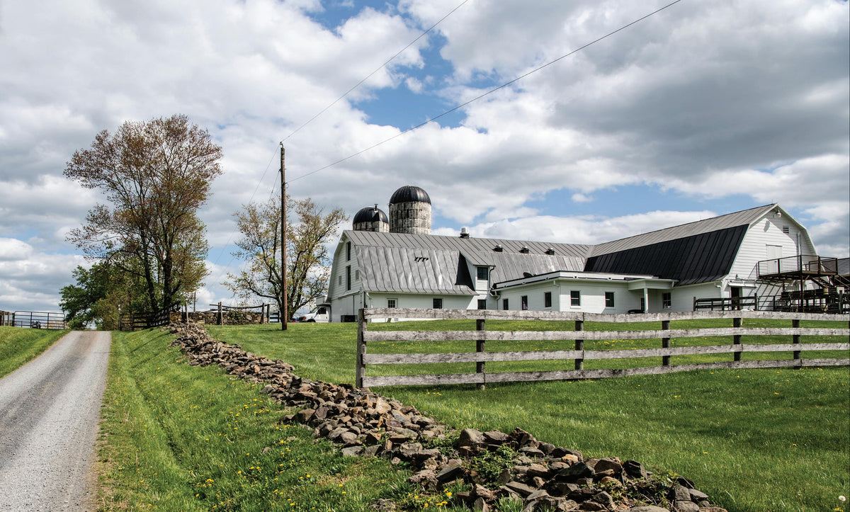 Our Story – Village Cheeseworks